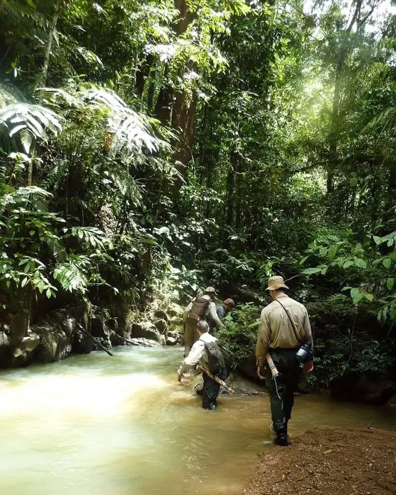 Exploring the Amazon rainforest