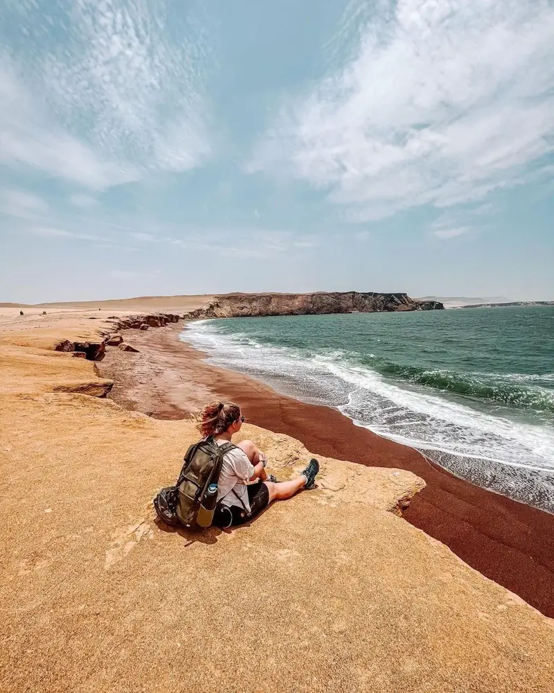 The National Reserve of Paracas: What Attractions Await You?